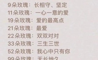 玫瑰花送几朵代表什么_不同朵数花语大全