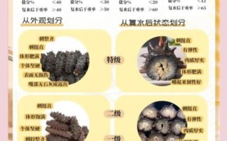 海参种类大全_海参怎么挑选