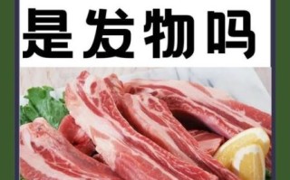 羊肉是发物吗_术后能吃羊肉吗