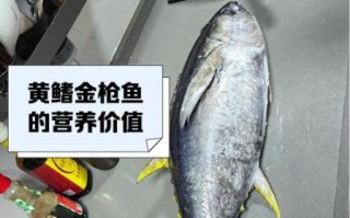 黄鳍金枪鱼多少钱一斤_黄鳍金枪鱼价格走势