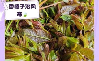 孕妇能吃香椿芽吗_香椿芽孕妇可以吃吗