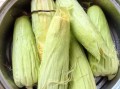 玉米怎么煮才好吃_煮玉米棒用凉水还是热水