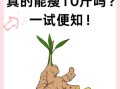 生姜减肥法3天瘦10斤真的吗_生姜减肥具体怎么做
