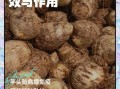 吃芋头有什么好处_芋头营养价值与功效