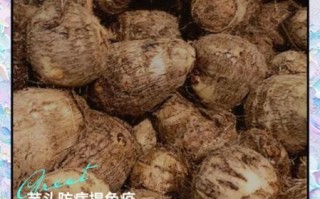 吃芋头有什么好处_芋头营养价值与功效