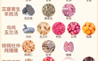 补肾的最好食物有哪些_肾虚吃什么食物最补