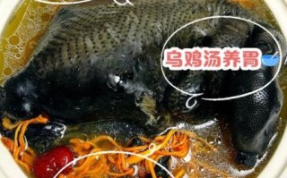 乌鸡胡萝卜汤的功效与作用_适合哪些人喝