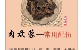 肉松茸多少钱一斤_肉松茸价格影响因素
