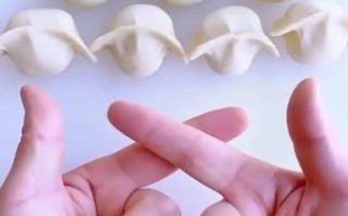 饺子怎么包才不破皮_高清大图饺子详细步骤