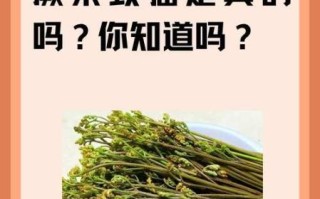 蕨菜致癌还是抗癌_蕨菜到底能不能吃
