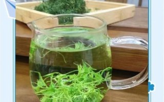 绞股蓝泡水喝的禁忌_哪些人不能喝