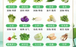 腹泻吃什么蔬菜_腹泻能吃什么蔬菜