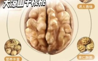 干核桃与湿核桃哪个更营养_区别在哪