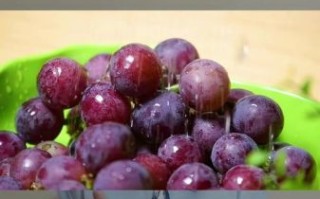 葡萄上火吗_葡萄下火吗
