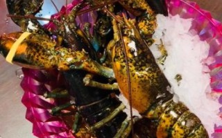 波士顿龙虾怎么做_波士顿龙虾蒸多久