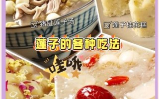 莲子粥的做法_莲子粥怎么煮才软糯