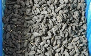 黑加仑干的功效与作用_黑加仑干有哪些禁忌