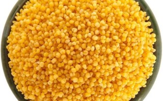 朝阳特产有哪些_朝阳特产哪里买最正宗