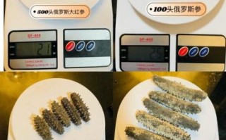 海参怎么泡发_海参泡发多久最好