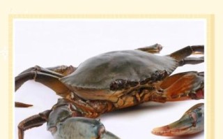 青蟹怎么保存活得久_青蟹能活多久