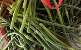 蒜苔怎么保存时间长_蒜苔图片怎么拍好看