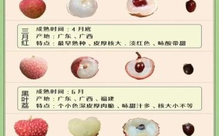 荔枝品种有哪些_如何挑选最好吃的荔枝