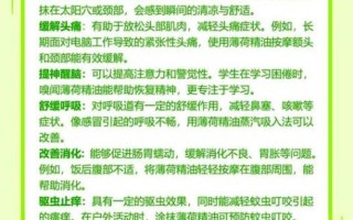 薄荷油的功效与作用_薄荷油怎么用效果最好