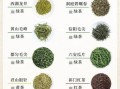 中国十大名茶有哪些_如何区分真假
