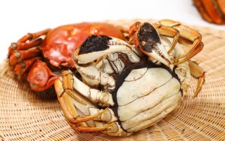 大闸蟹什么季节吃最好_大闸蟹最佳食用月份