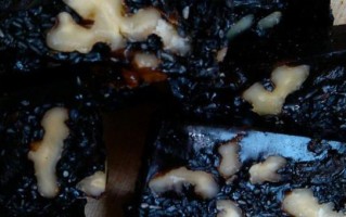 固元膏做法视频_固元膏怎么做才正宗