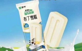 蒙牛小布丁雪糕多少钱一支_蒙牛小布丁雪糕好吃吗
