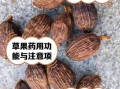 草果是什么_草果的功效与作用