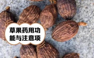 草果是什么_草果的功效与作用