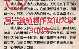 仙人掌作文怎么写_仙人掌的特点有哪些