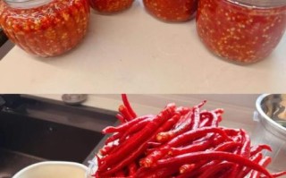 自制辣椒酱的做法大全_家常做法图解