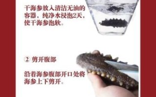 红烧海参怎么做_海参怎么泡发不腥