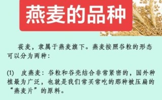 莜怎么读拼音_莜麦与莜面的区别