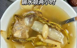 龙骨汤怎么炖好喝_龙骨汤做法大全