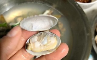 花甲怎么清洗内脏_花甲内脏清洗视频教程