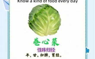 卷心菜是什么梗_卷心菜梗怎么来的
