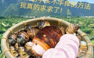 芋头怎么去皮_芋头去皮手痒怎么办