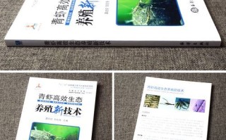 青虾养殖技术要点_如何提高青虾成活率