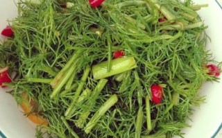 茴香菜孕妇能吃吗_茴香菜的功效与作用禁忌