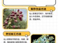 仙人掌果怎么吃_仙人掌果吃法视频教程
