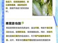 青菜的营养价值及功效与作用_青菜怎么吃最营养
