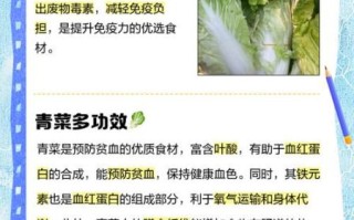 青菜的营养价值及功效与作用_青菜怎么吃最营养