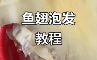 鱼翅怎么泡发成丝_鱼翅泡发成丝视频教程