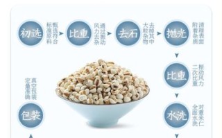 薏苡仁汤组成_薏苡仁汤功效与作用