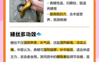 鳗鱼丝的营养价值_鳗鱼丝的功效与作用