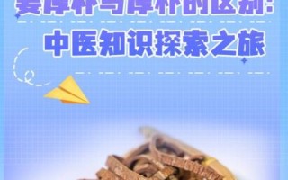 姜厚朴和厚朴的区别_哪个更适合入药